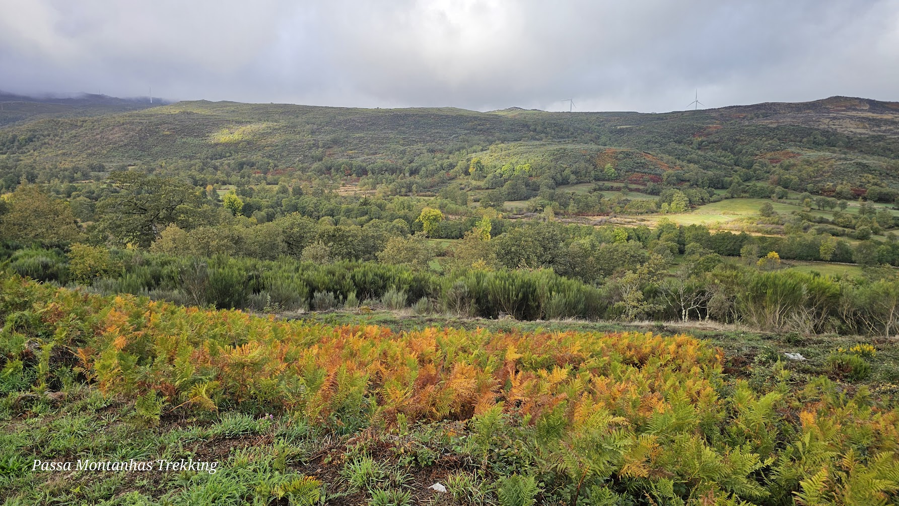 Serra de Montemuro: Aldeias de Montanha, Natureza e Tradição em ...